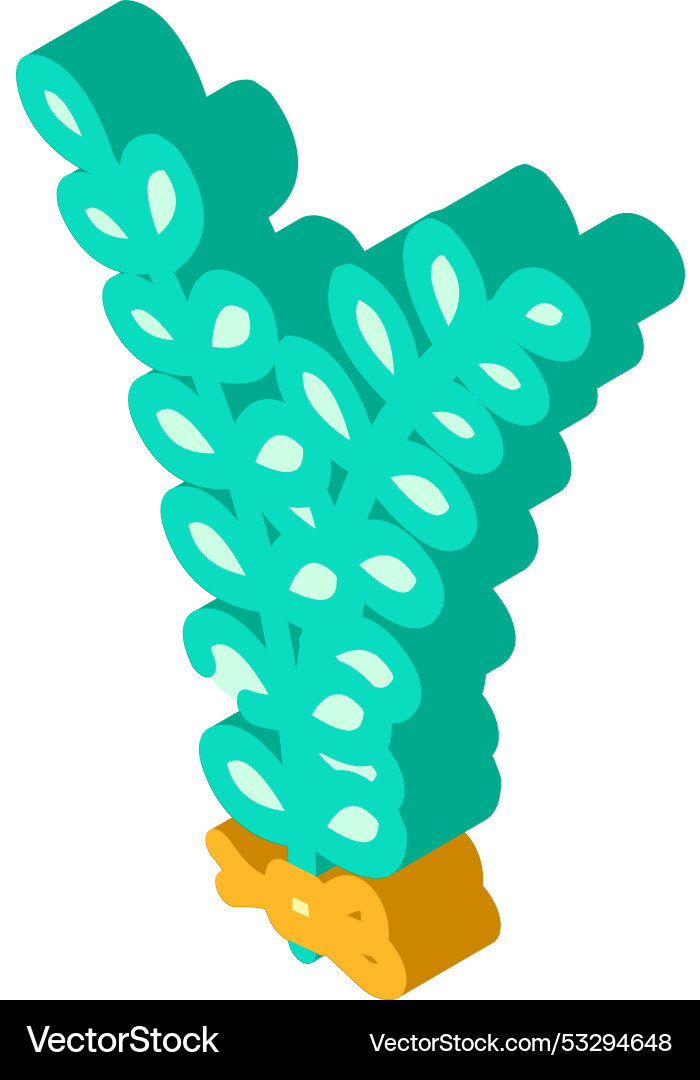 Moringa leaves ayurvedic herb isometric icon Vector Image