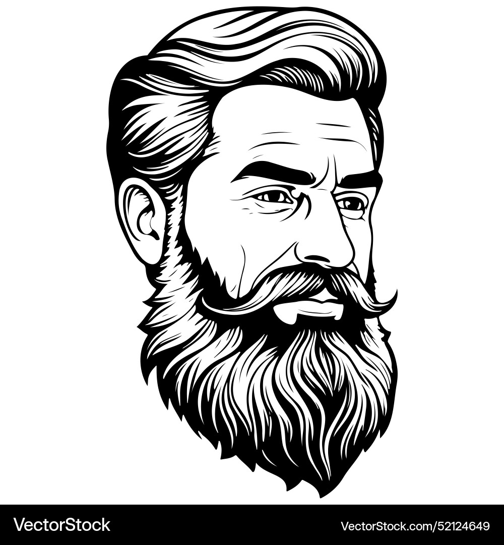 Beard drawing realistic hand drawing line art Vector Image
