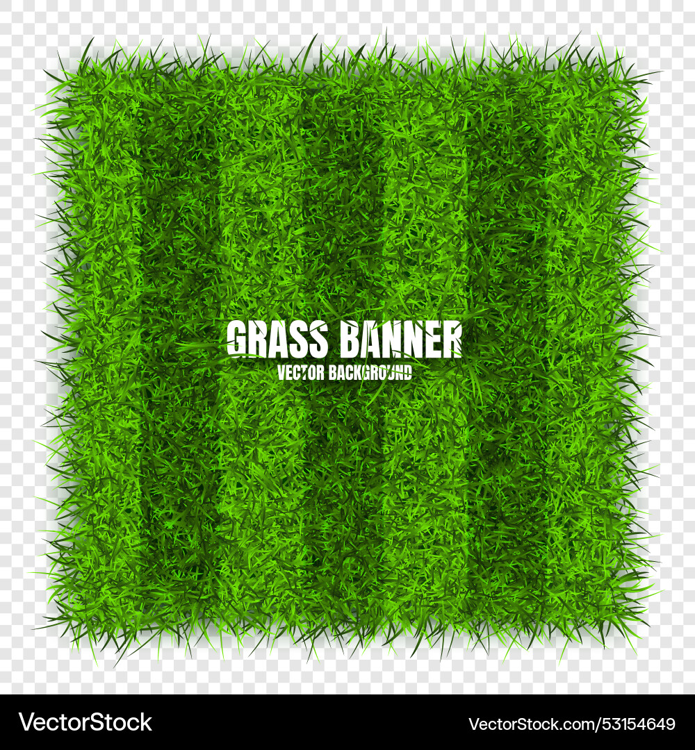 Green grass banners background field meadow Vector Image