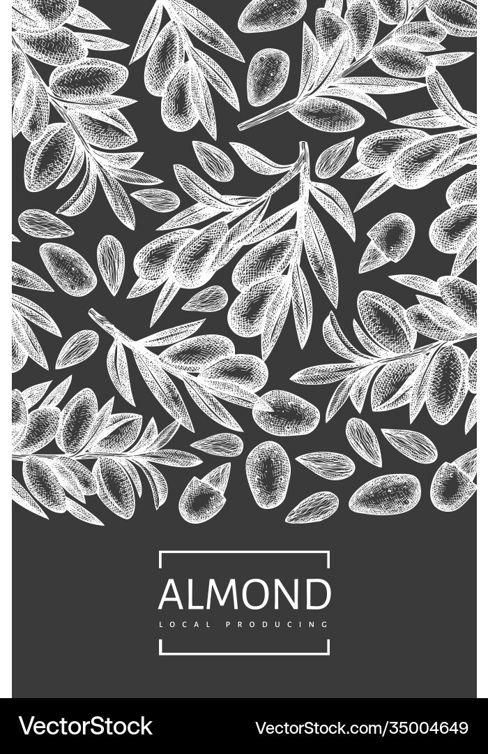 Hand drawn sketch almond design template organic Vector Image