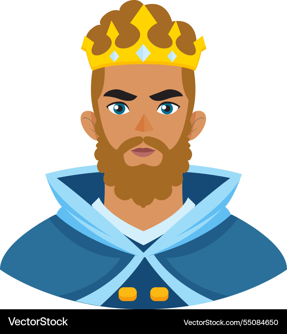 A bearded king in royal attire Royalty Free Vector Image