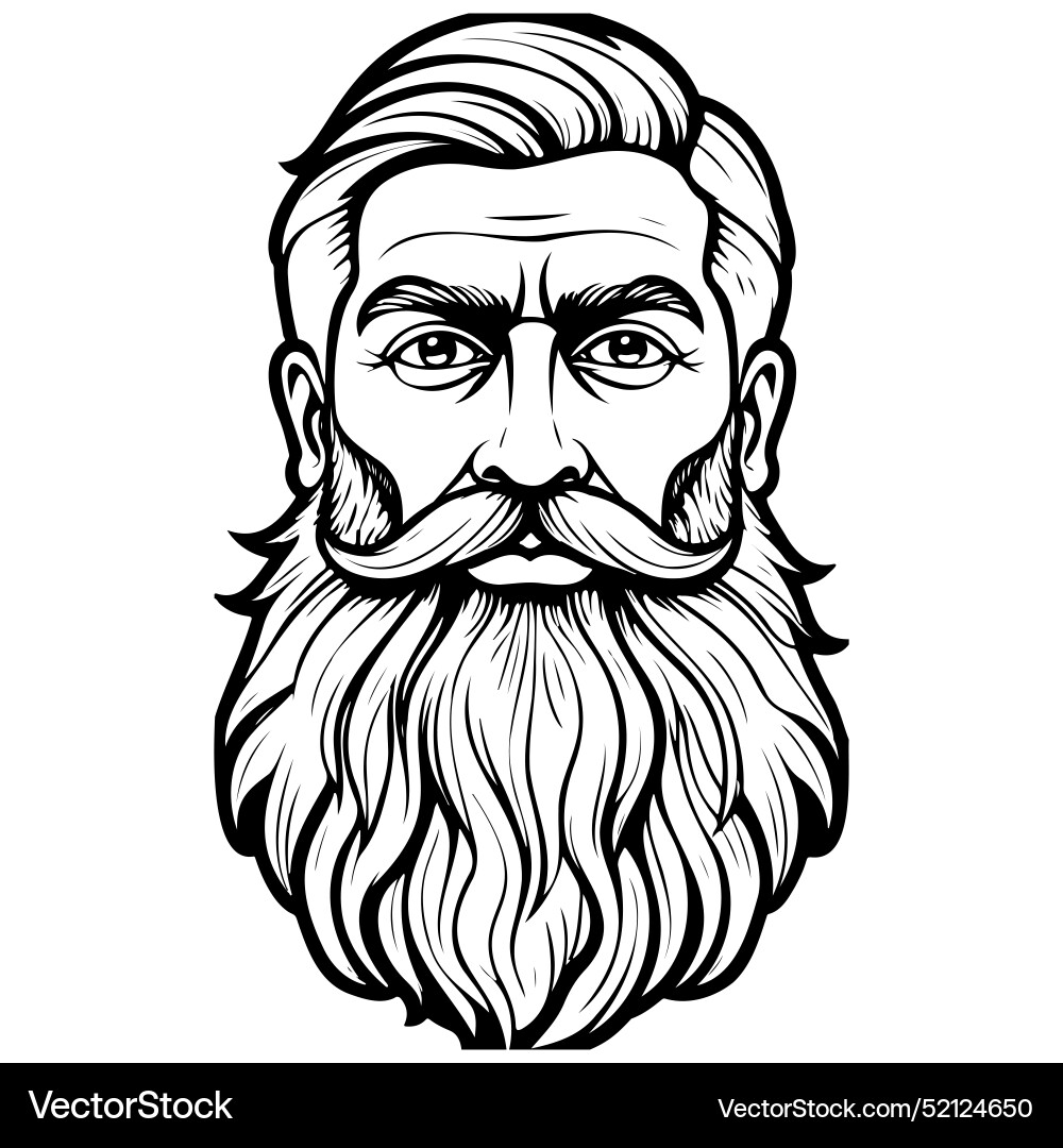 Beard drawing realistic outline line transparent Vector Image