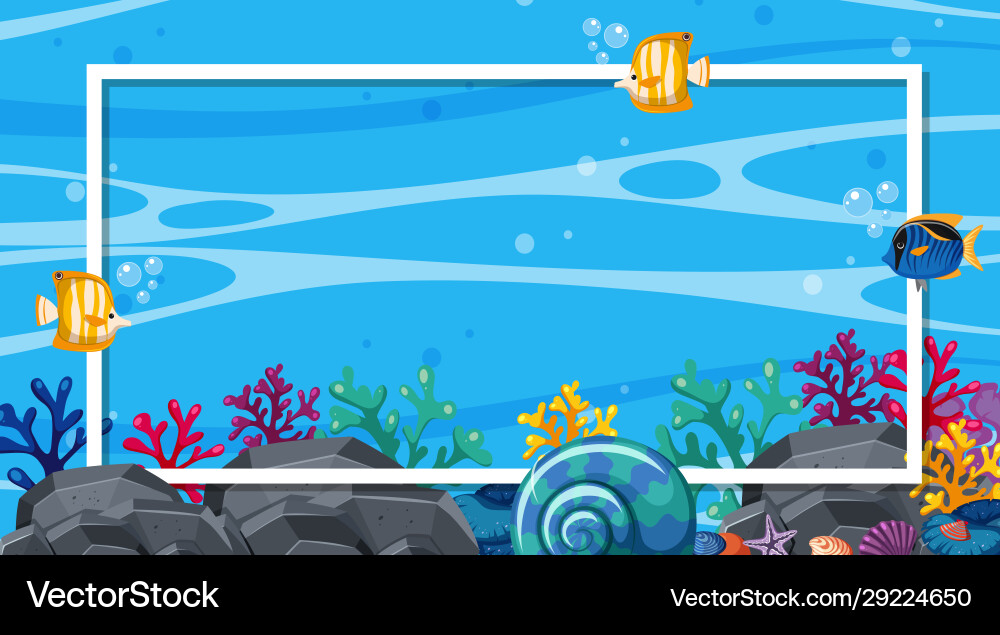 Frame design template with fish swimming Vector Image