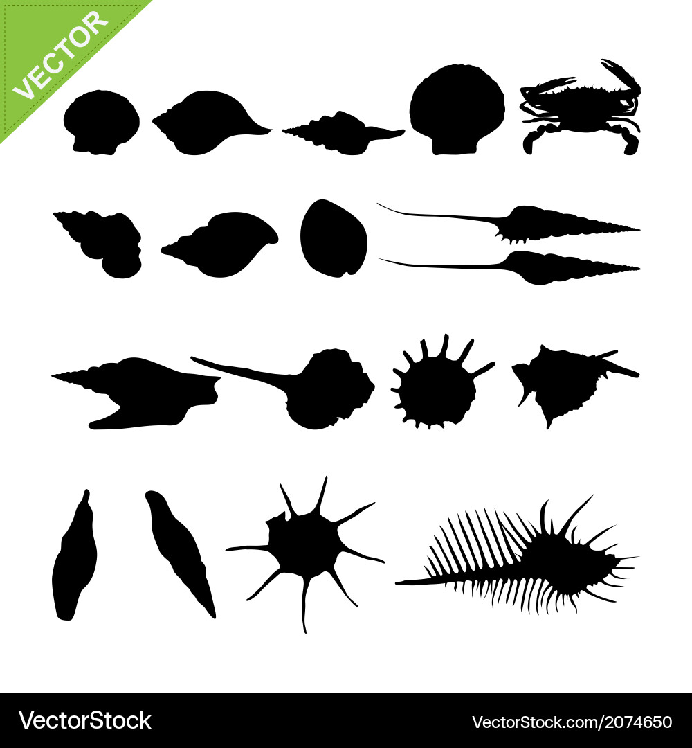 Shell Silhouettes - Marine Collection Royalty Free Vector