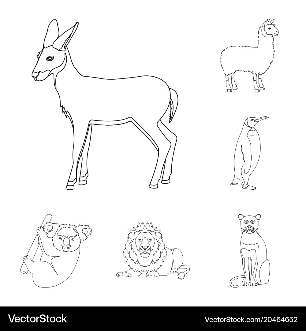 Different animals outline icons in set collection Vector Image