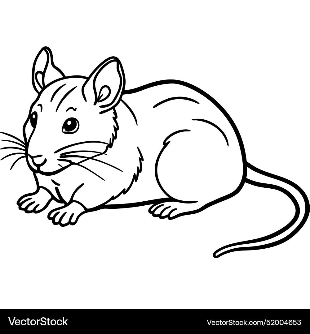 Degu mouse lies icon Royalty Free Vector Image