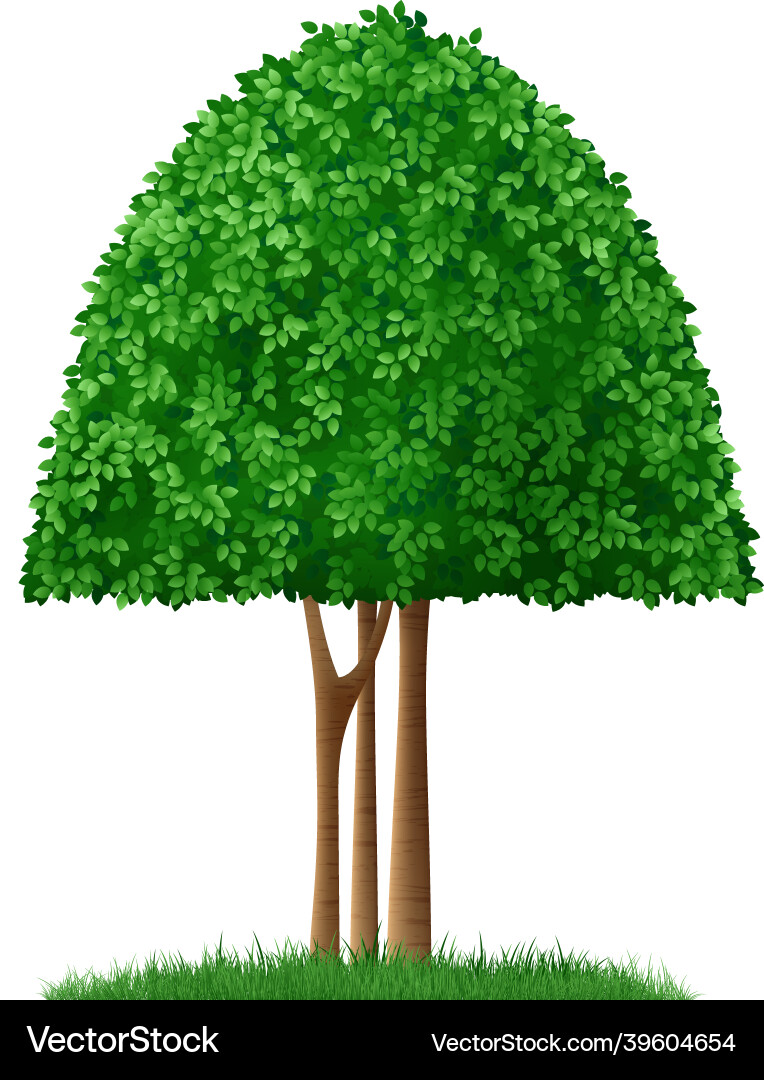 Decorative tree Royalty Free Vector Image - VectorStock