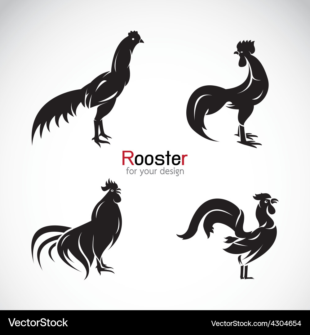 Group of rooster design Royalty Free Vector Image