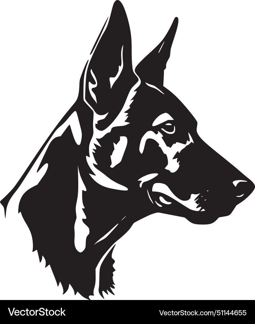 Australian kelpie - minimalist and simple Vector Image