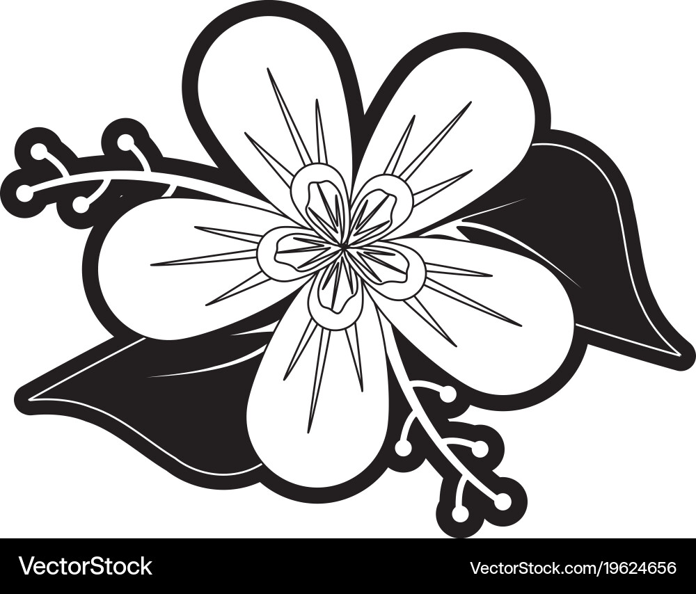 Flower design Royalty Free Vector Image - VectorStock
