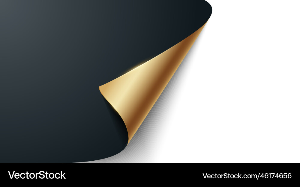 Golden peeled corner on black white background Vector Image