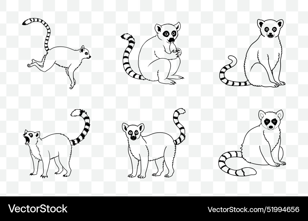 Print lemur line art set creative designs Vector Image