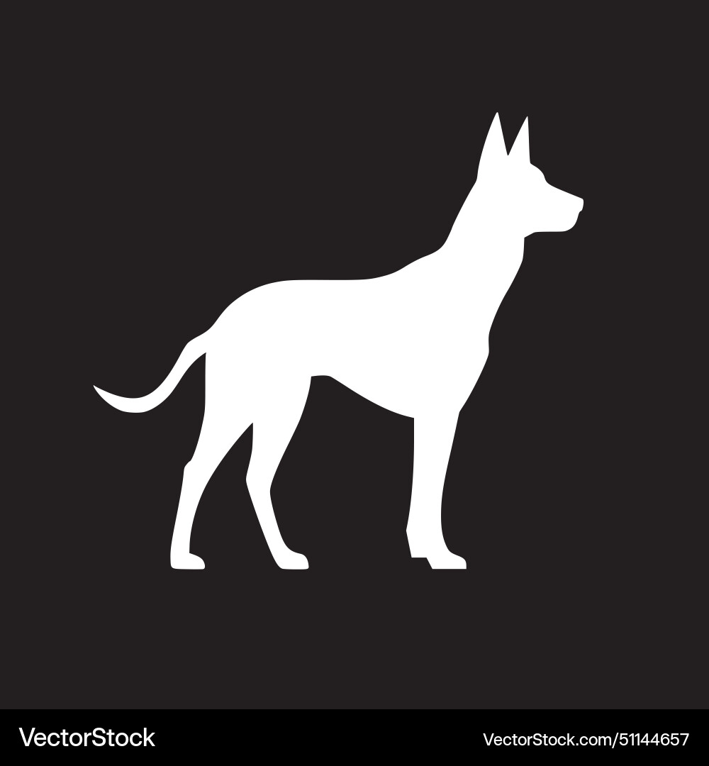 Australian kelpie - minimalist and simple Vector Image