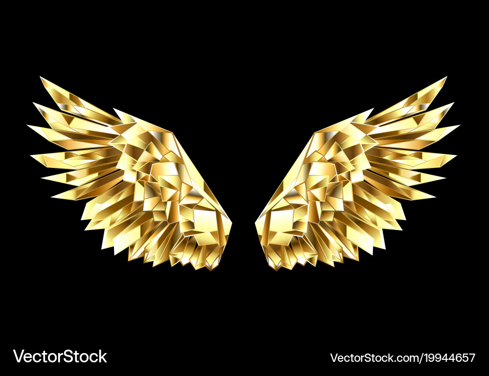 Gold polygonal wings Royalty Free Vector Image