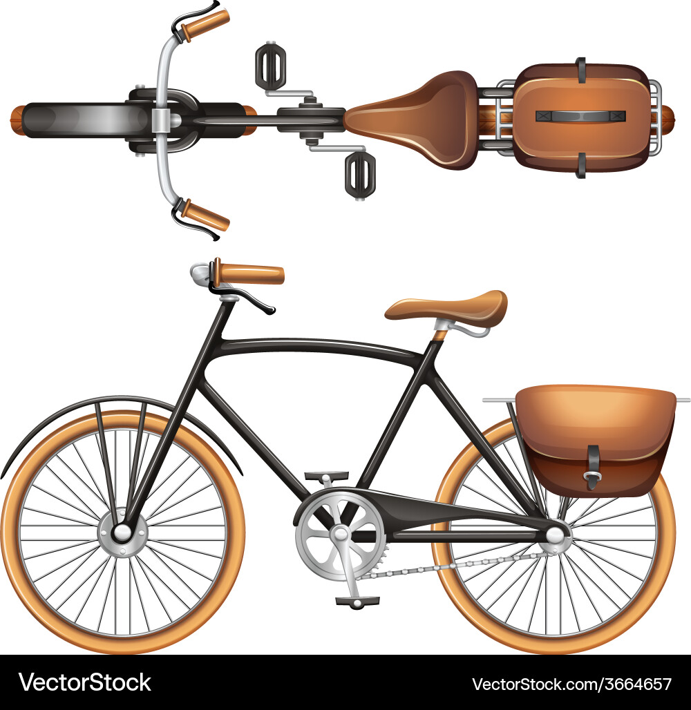 Vintage Bicycle Top View Royalty Free Vector Image