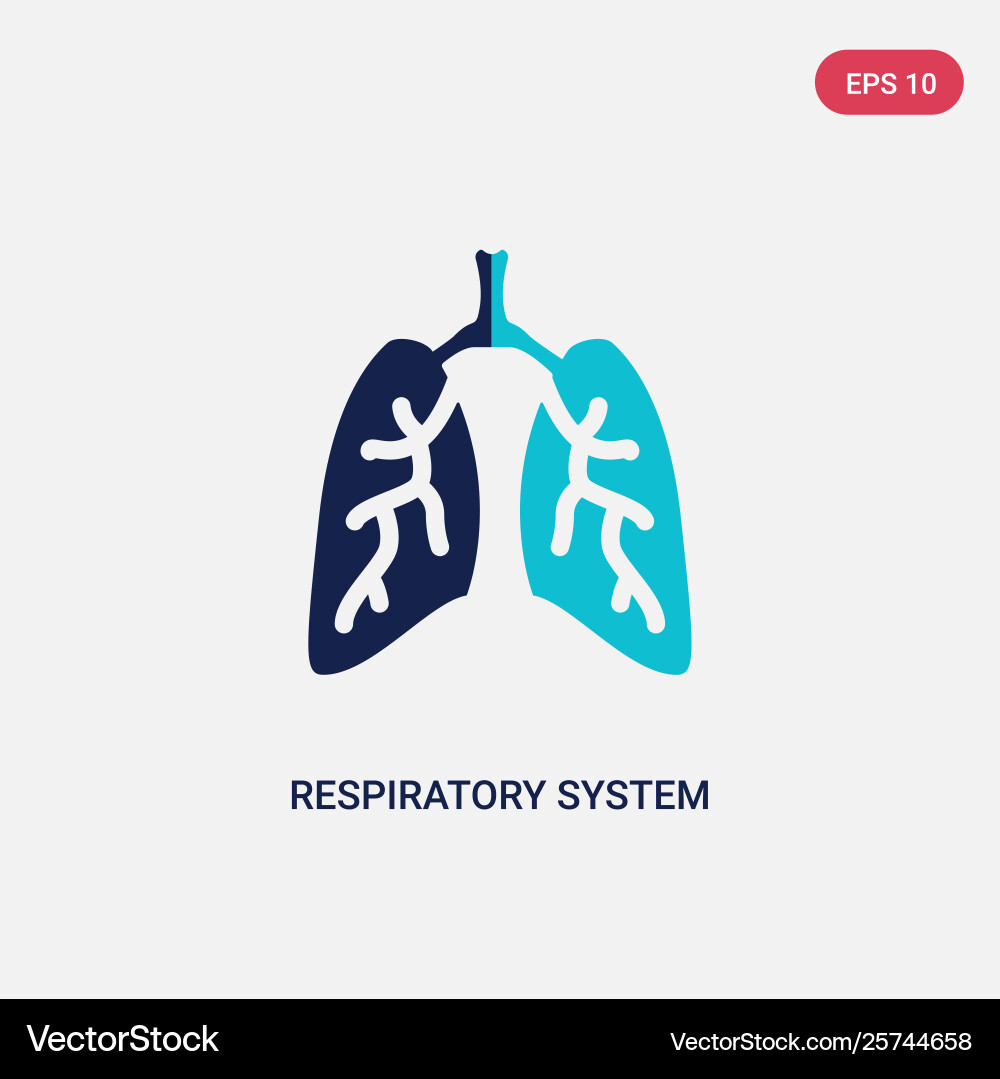 Respiratory System Logo Respiratory System Logos | Respiratory System