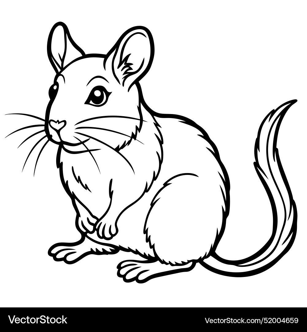 Degu mouse sits icon Royalty Free Vector Image