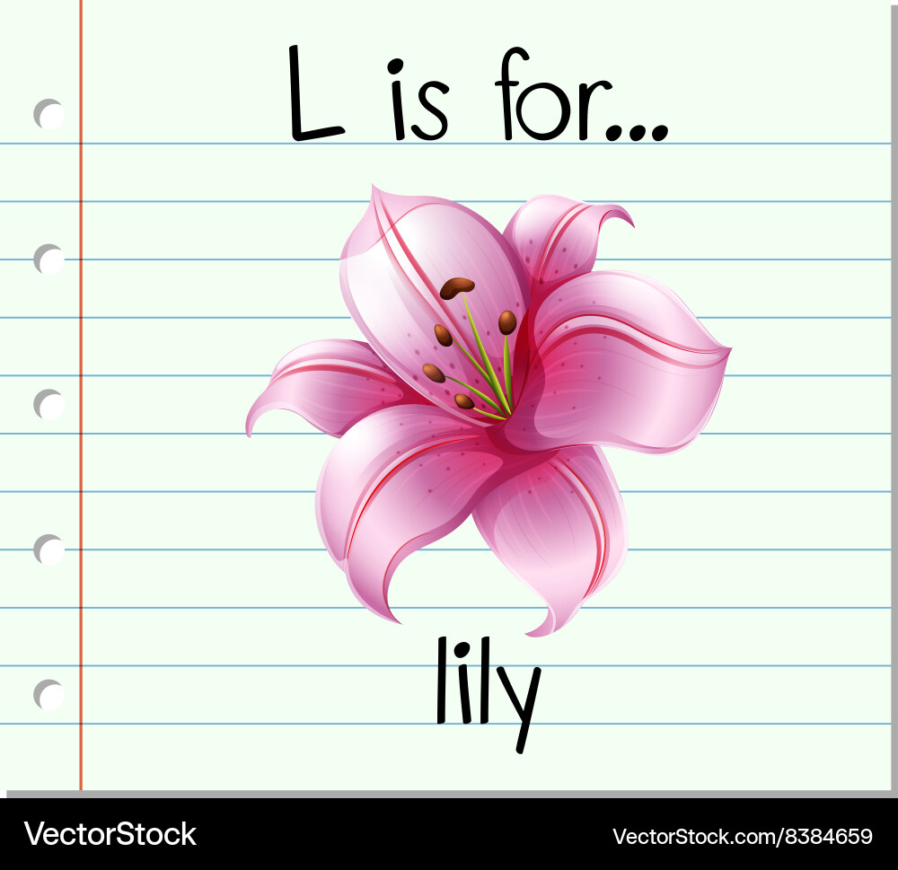 Flashcard letter l is for lily Royalty Free Vector Image