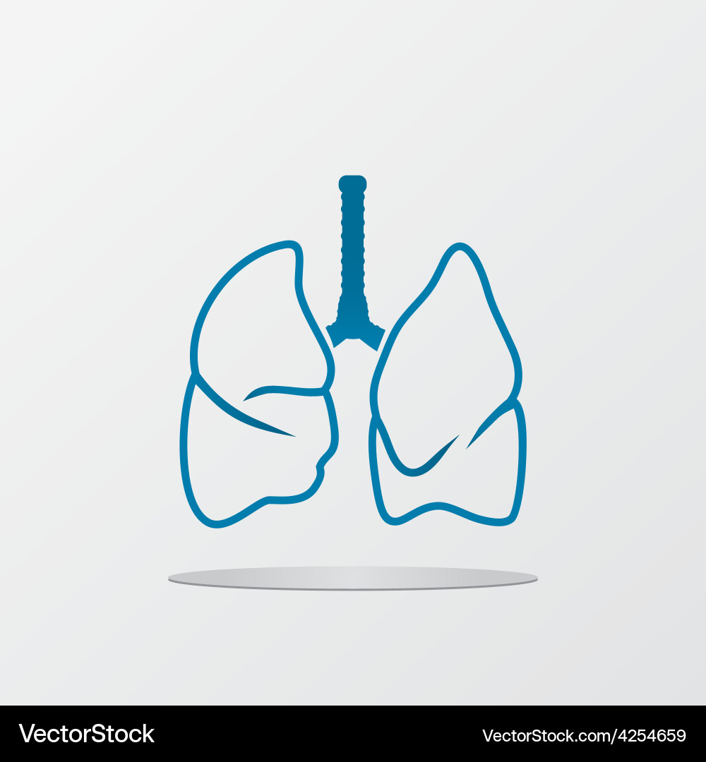 Human lungs Royalty Free Vector Image - VectorStock