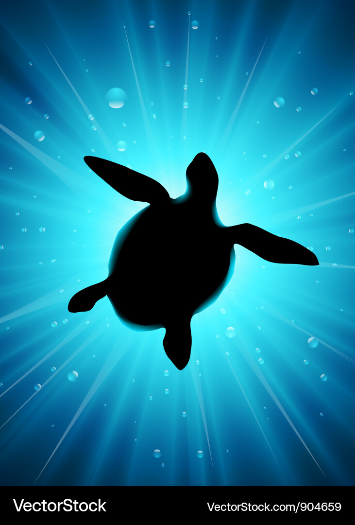 Turtle Royalty Free Vector Image - VectorStock