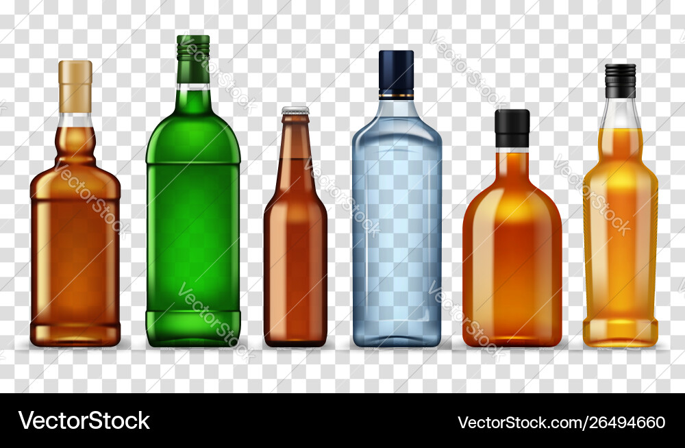 Alcohol drinks in bottles isolated high spirits Vector Image
