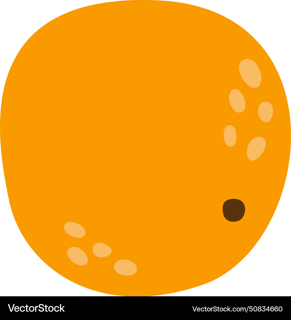 Orange citrus fruit Royalty Free Vector Image - VectorStock