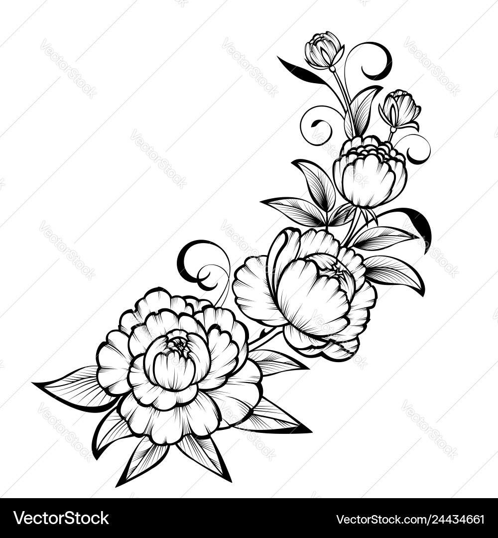 Elegant Rose Branch Royalty Free Vector Image - VectorStock