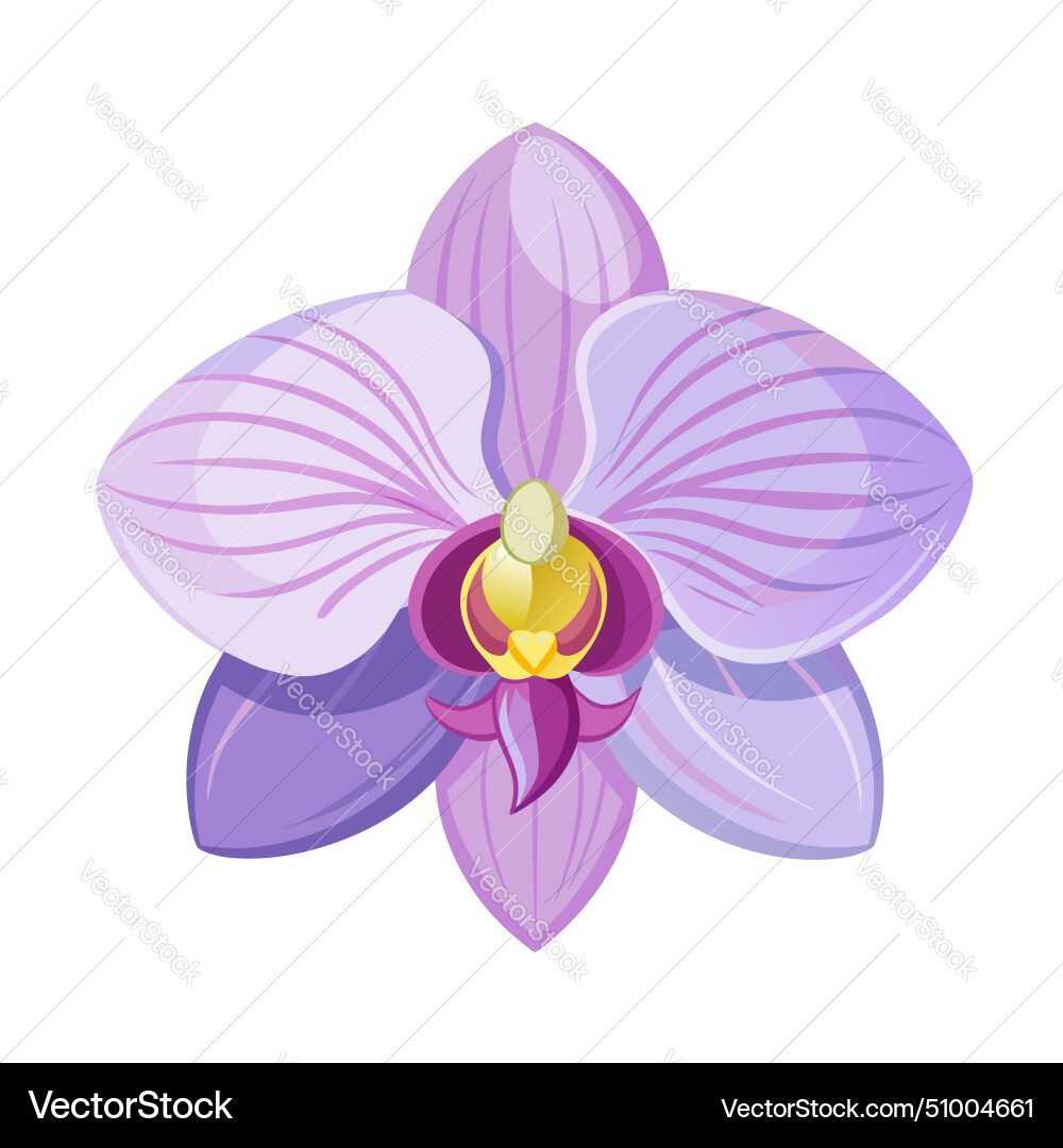 Flower exotic pastel pink orchid Royalty Free Vector Image