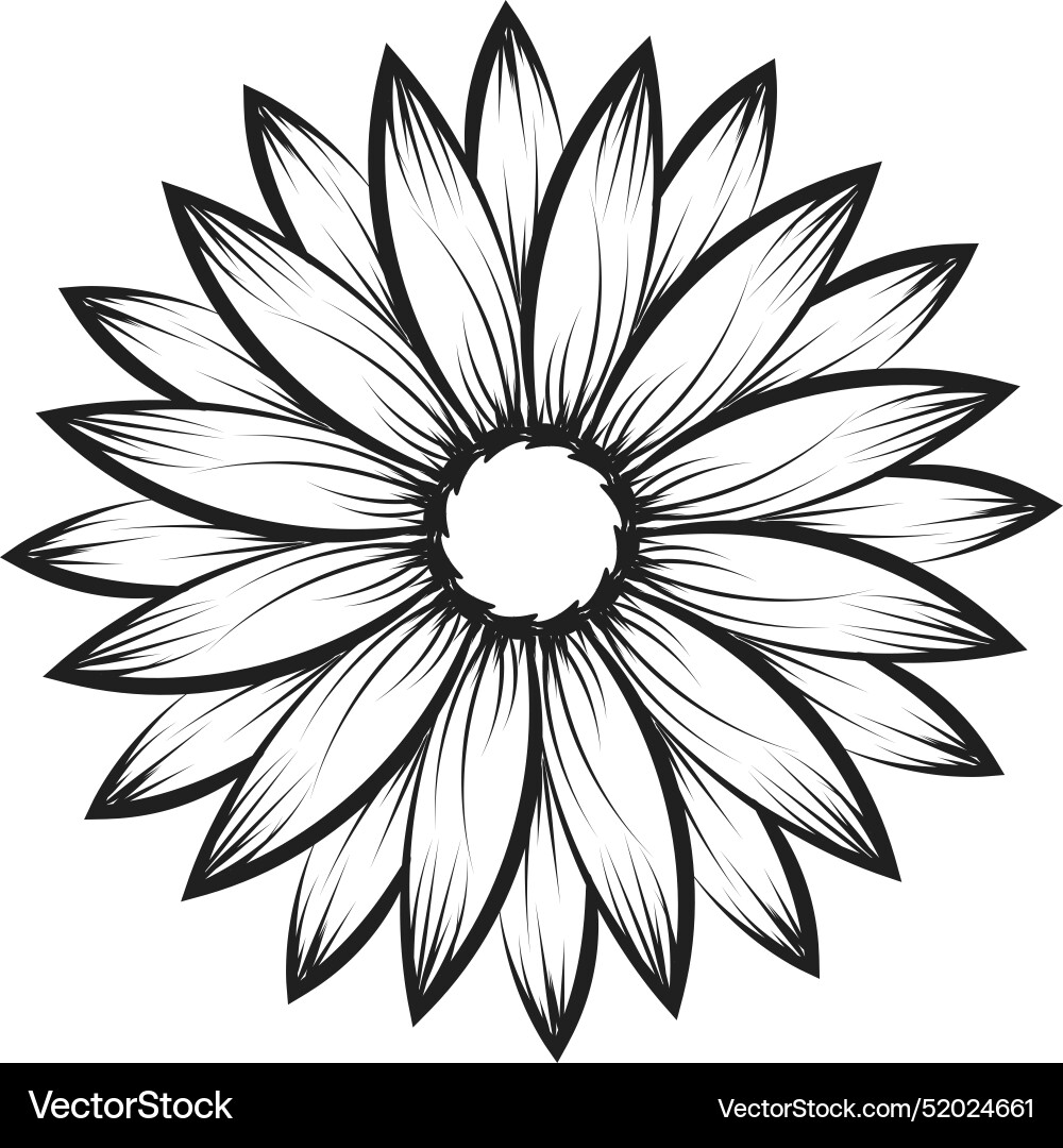 Flower line art for coloring pages Royalty Free Vector Image