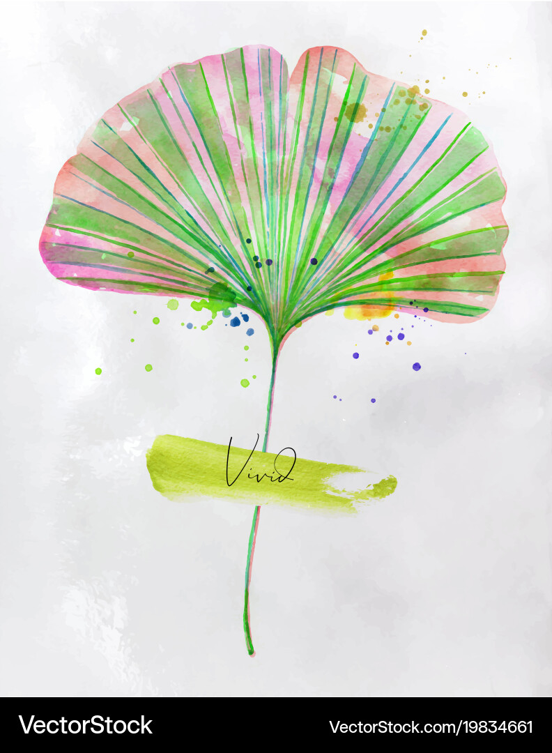 Ginkgo biloba leaf Royalty Free Vector Image - VectorStock