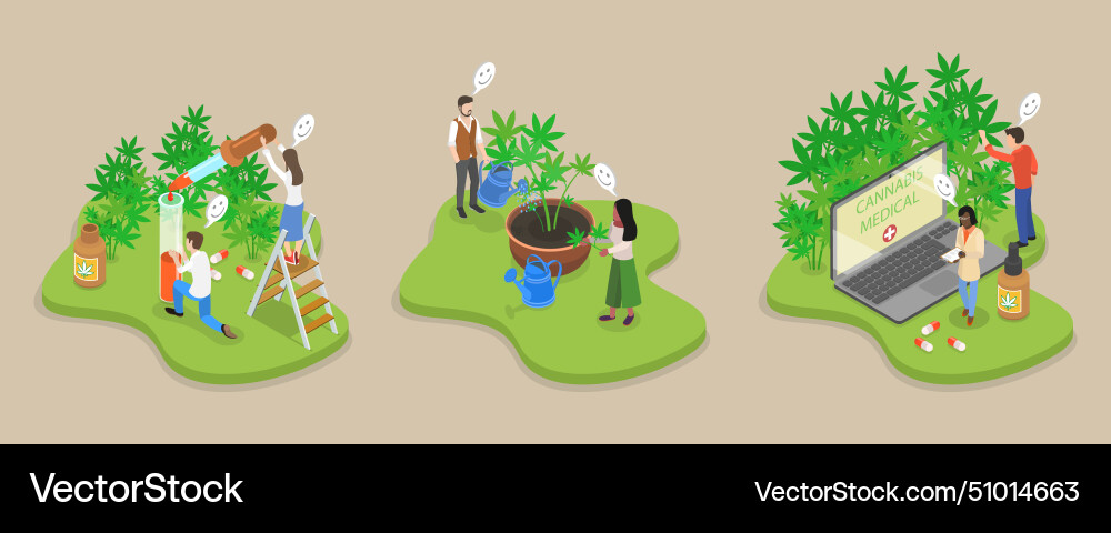 3d isometric flat of hemp Royalty Free Vector Image