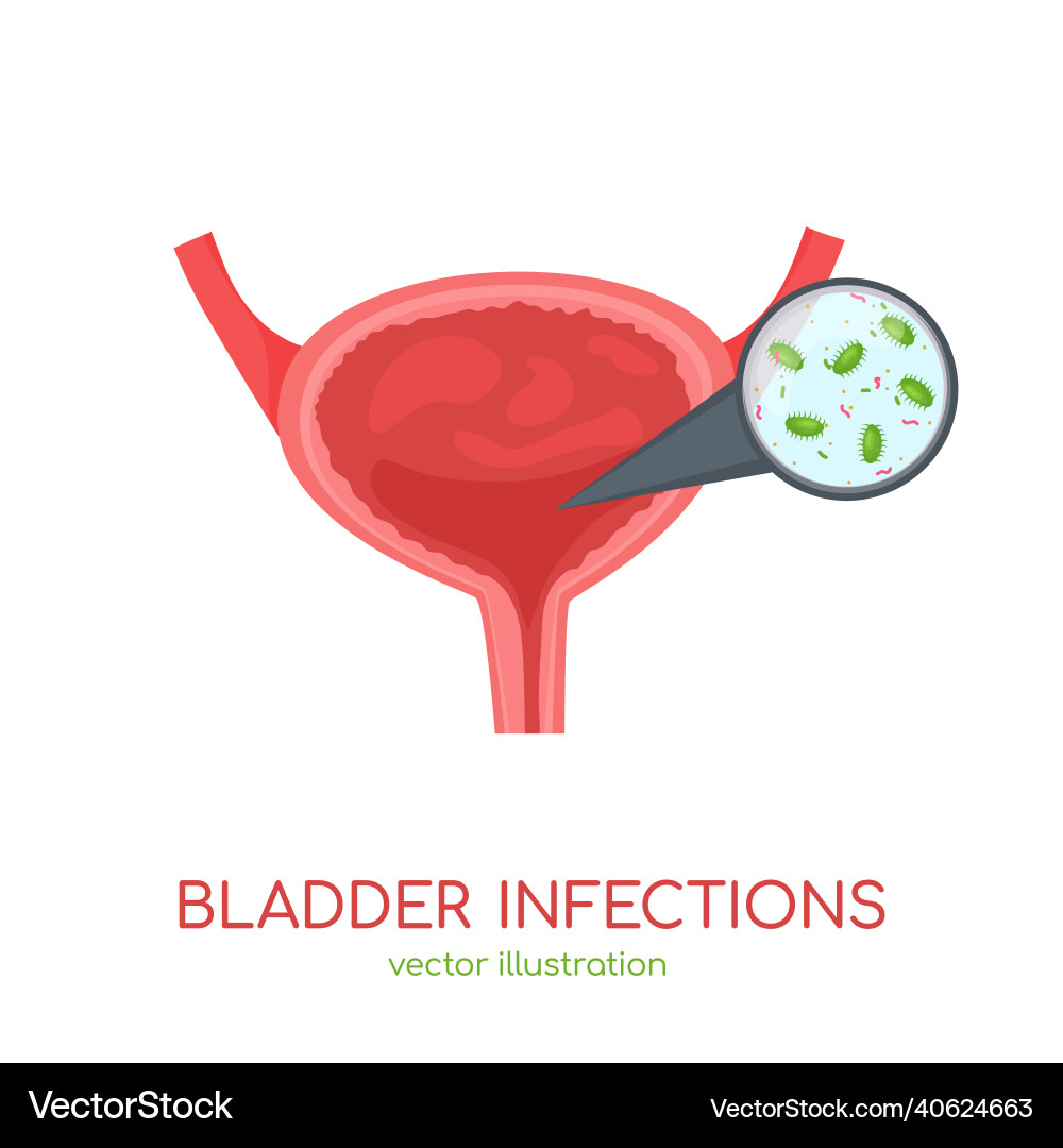 Bladder infections icon editable Royalty Free Vector Image