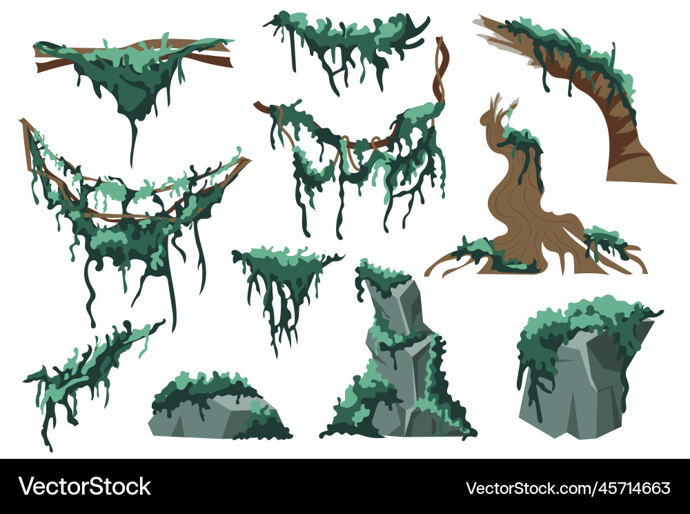 Moss and lichens set graphic elements in flat Vector Image