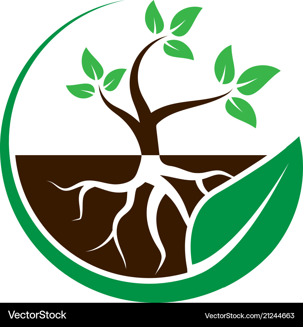 Plant Roots Logo Premium Vector | Tree Logos Roots Logos Logo
