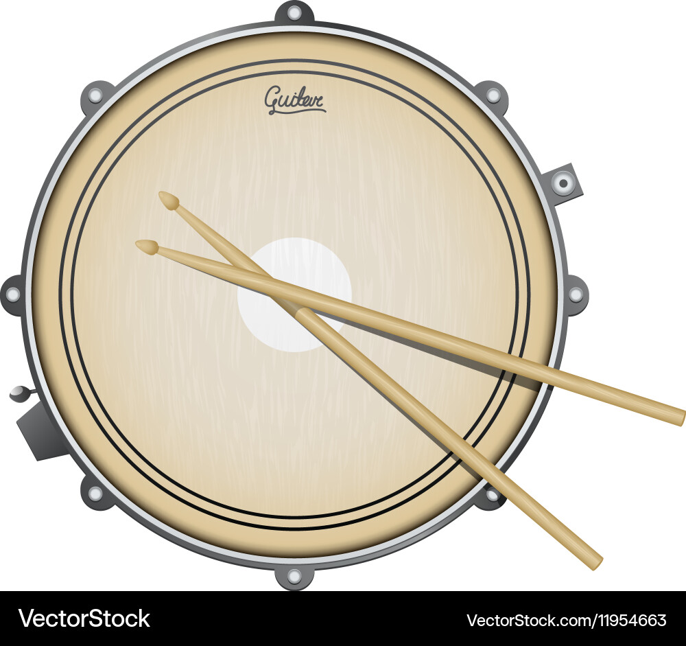 Snare drum realistic Royalty Free Vector Image