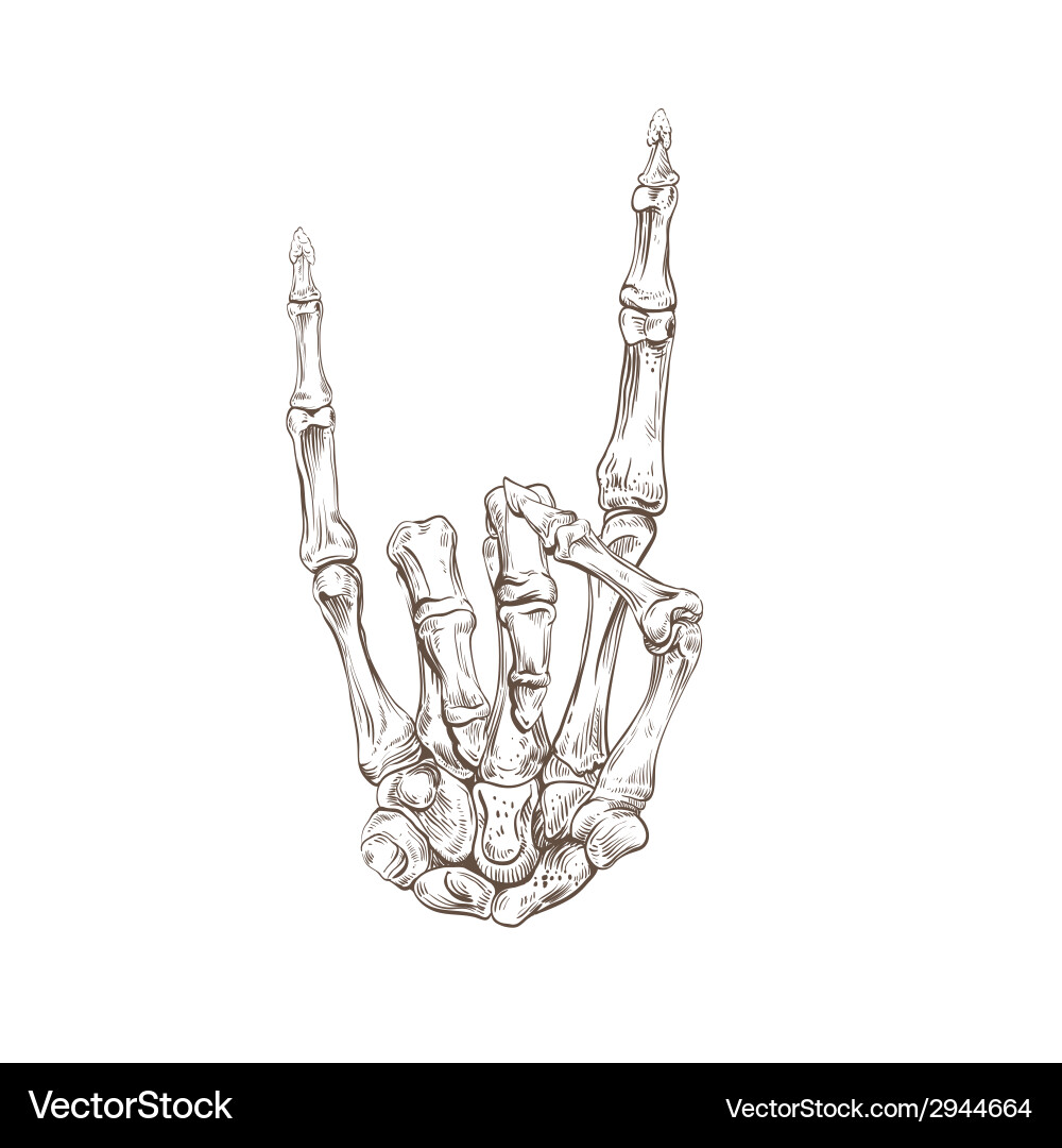 Metal Skeleton Hand Royalty Free Vector Image - VectorStock