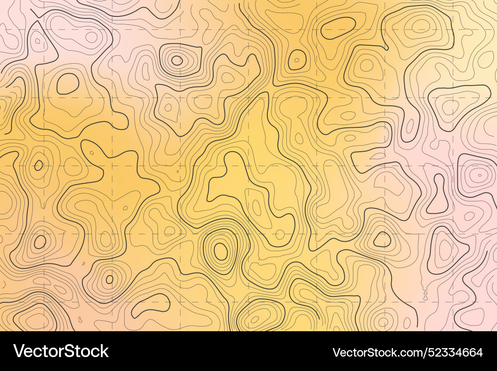 Topographic map concept Royalty Free Vector Image