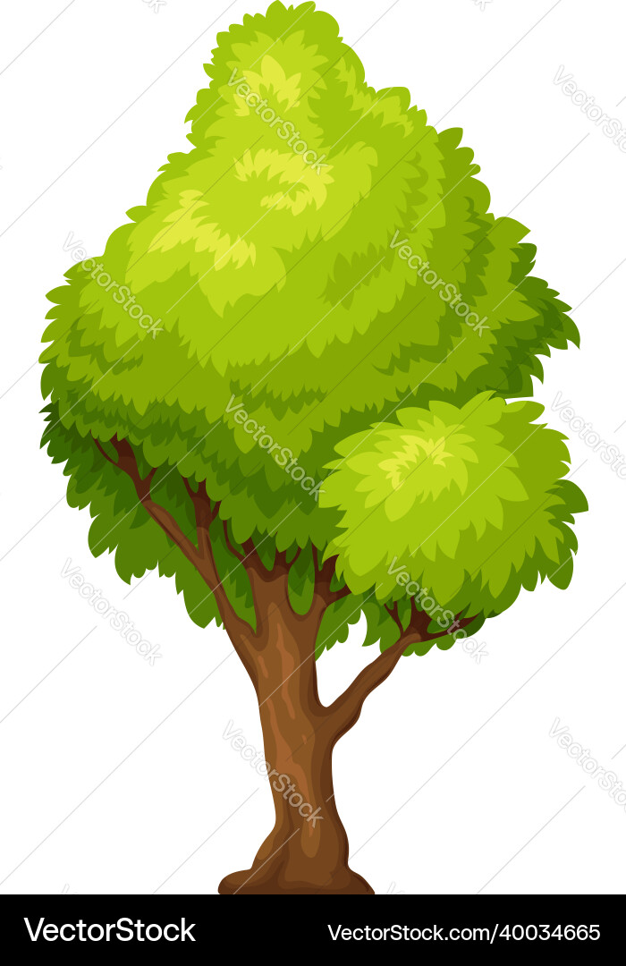 Cartoon Deciduous Tree Royalty Free Vector Image