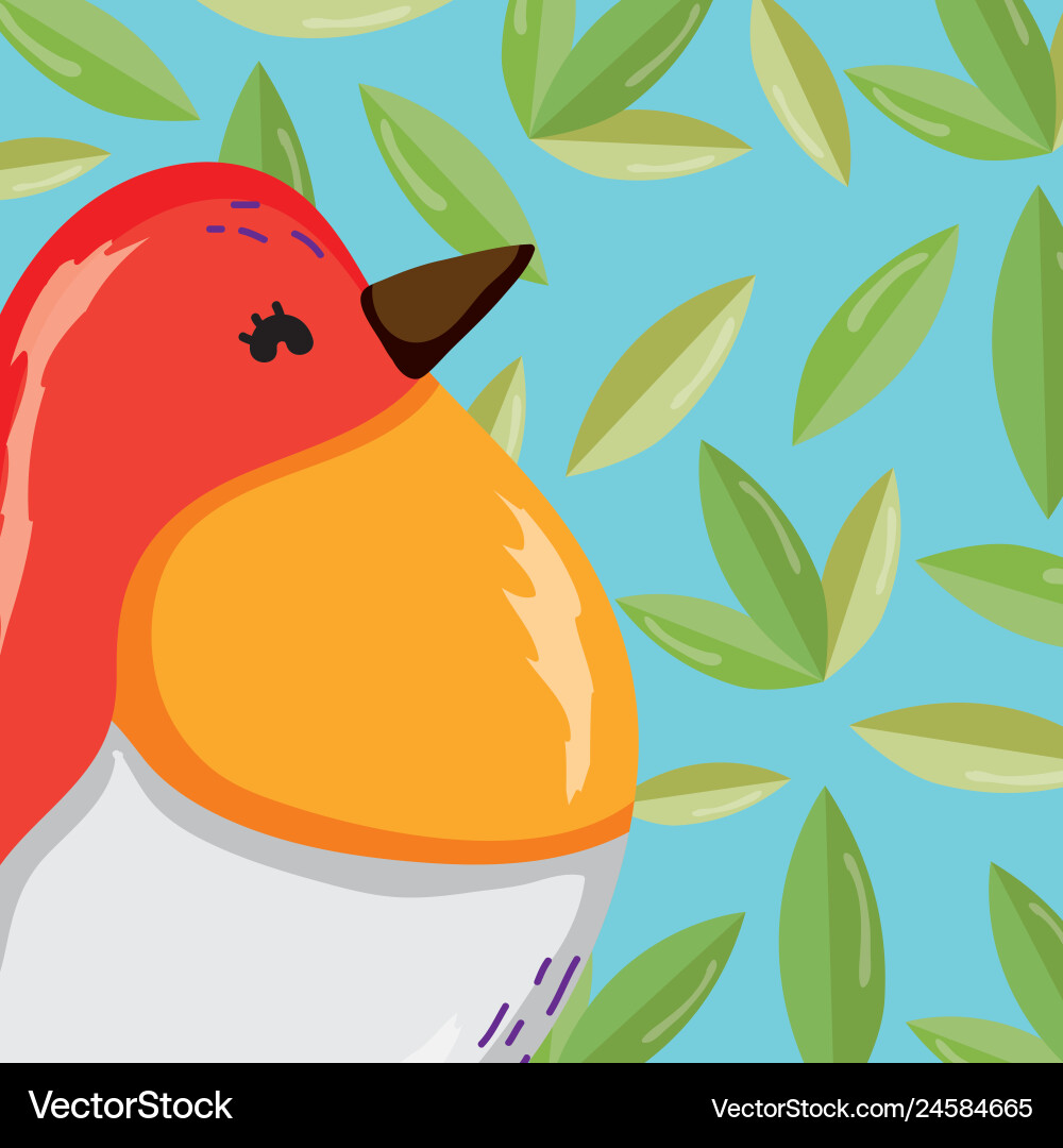 Exotic birds cartoon Royalty Free Vector Image