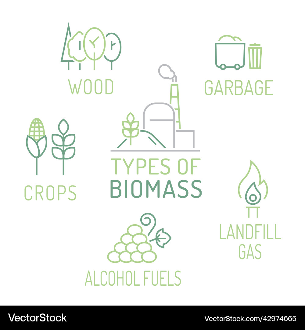 Types of biomass vertical poster Royalty Free Vector Image