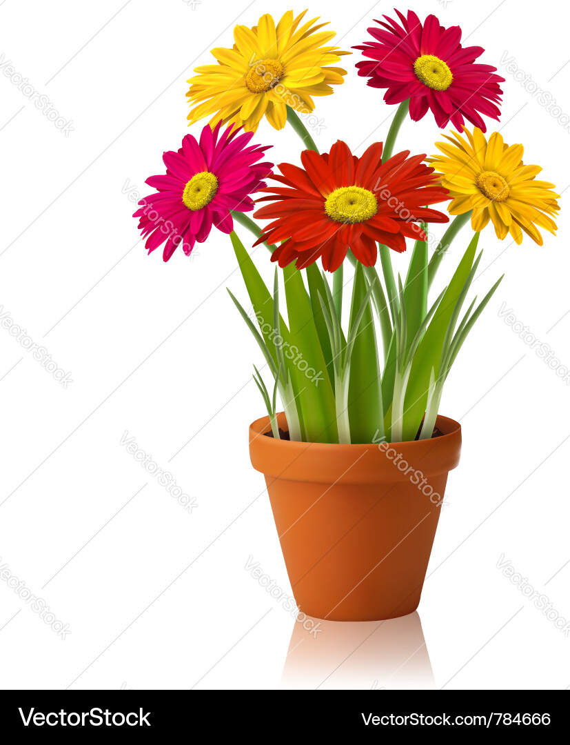 Fresh spring flowers Royalty Free Vector Image