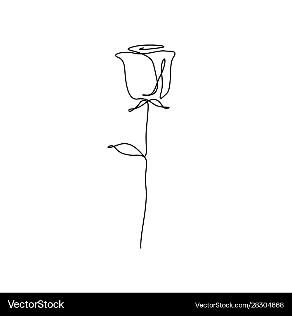 Continuous one line rose flower minimalism Vector Image