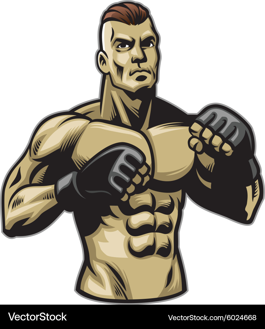 Fighter pose Royalty Free Vector Image - VectorStock