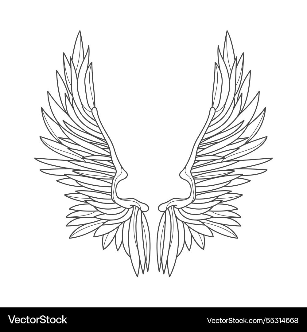 Wings feather outline angel or bird Royalty Free Vector