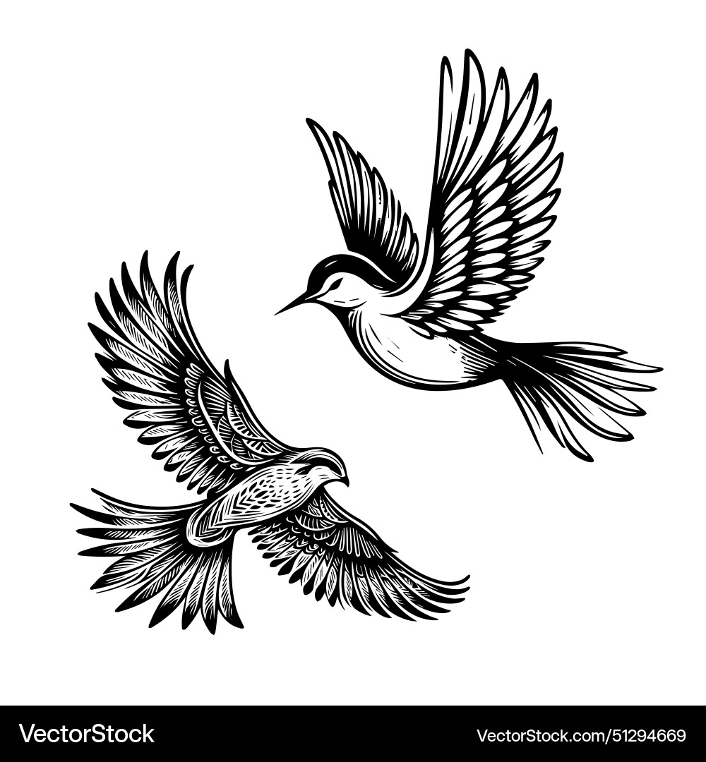 Two flying pigeons with wings Royalty Free Vector Image