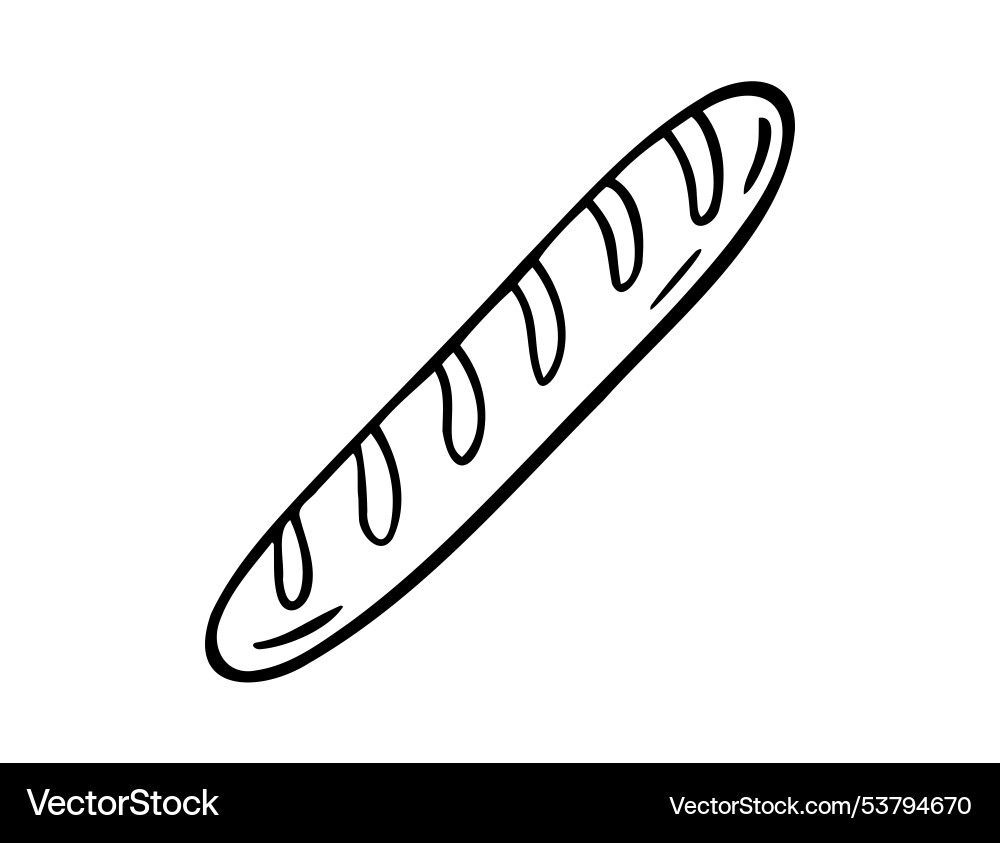 French baguette hand drawn outline doodle icon Vector Image