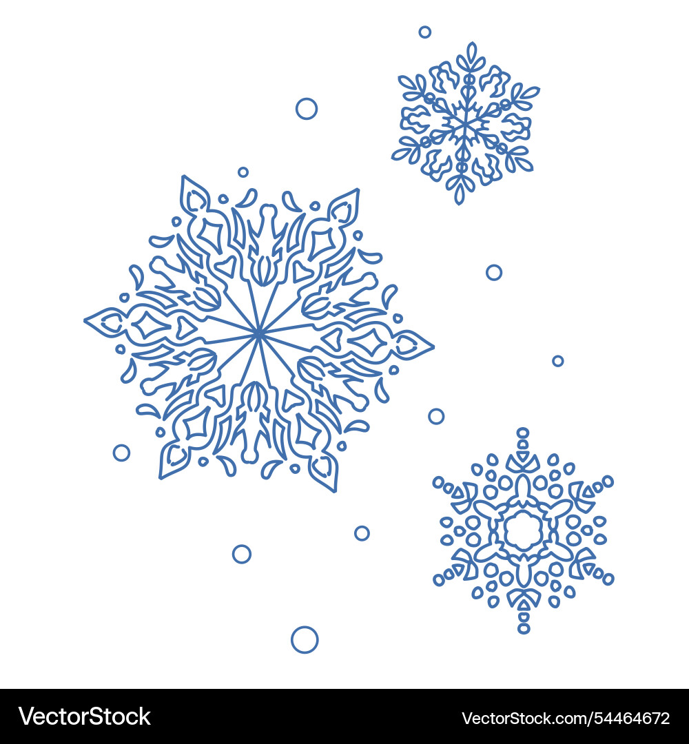 Composition of snowflakes on a white background Vector Image