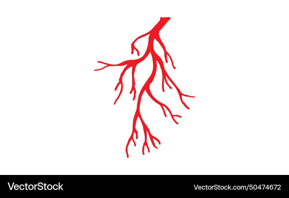 Human veins and arteries Royalty Free Vector Image