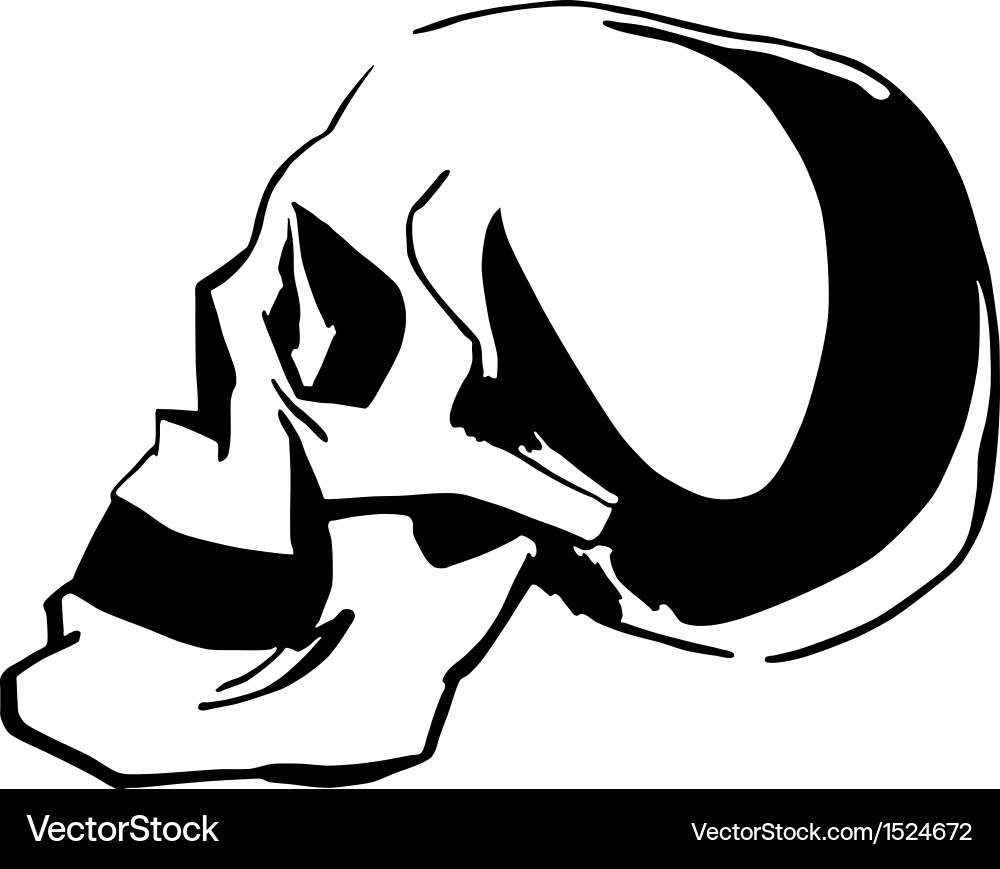 Skull Royalty Free Vector Image - VectorStock