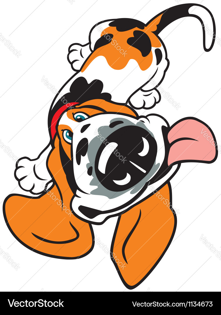 Cartoon basset Royalty Free Vector Image - VectorStock
